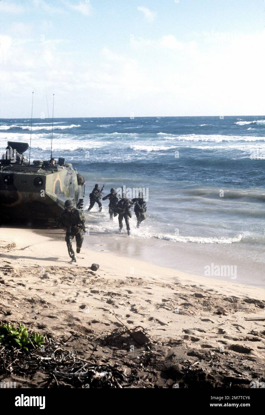 Marines from Battalion Landing Team, 1ST Bn., 3rd Marines (BLT 1/3 ...