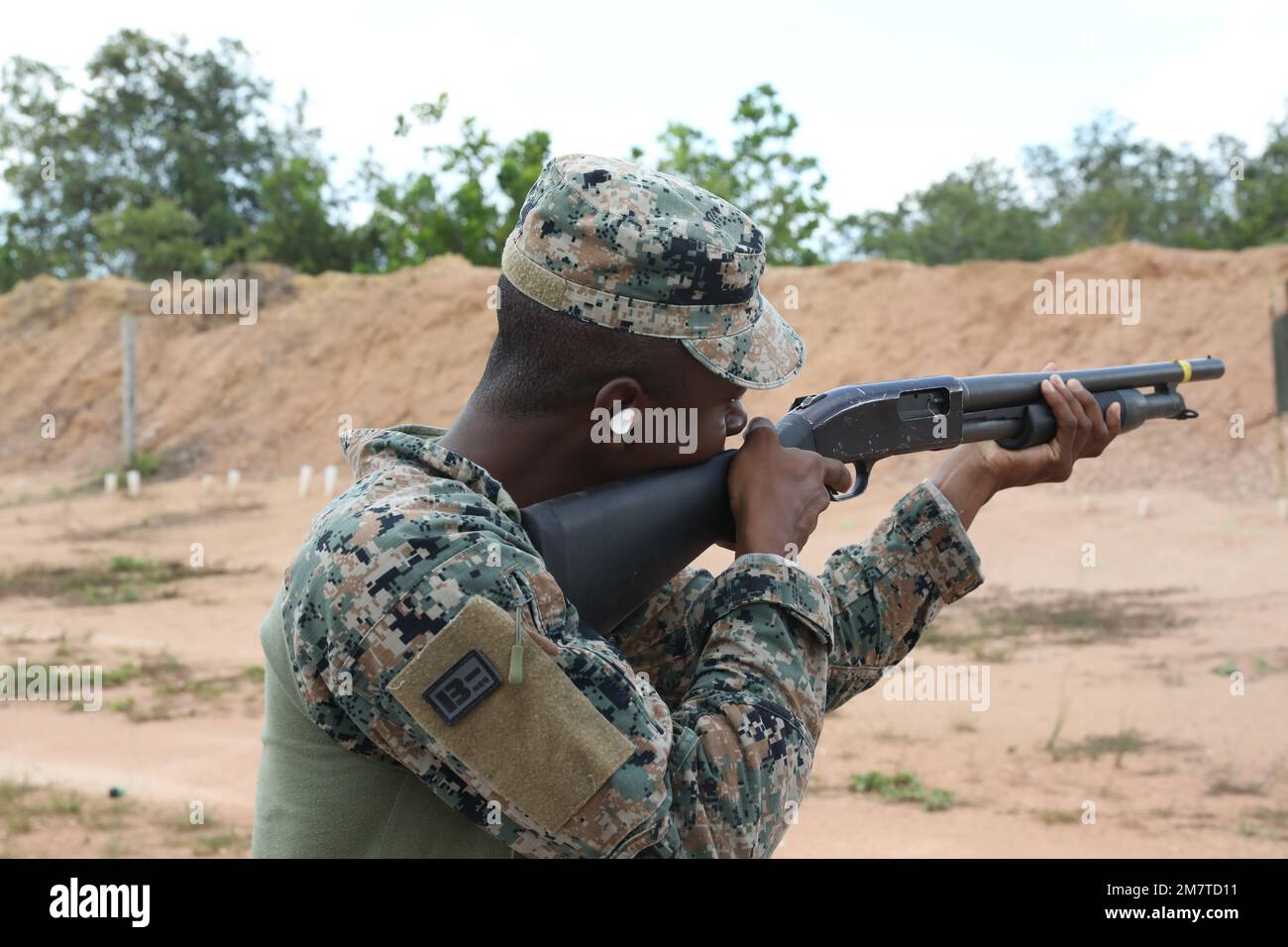 Multiple partnering nations conduct training with non-lethal close ...