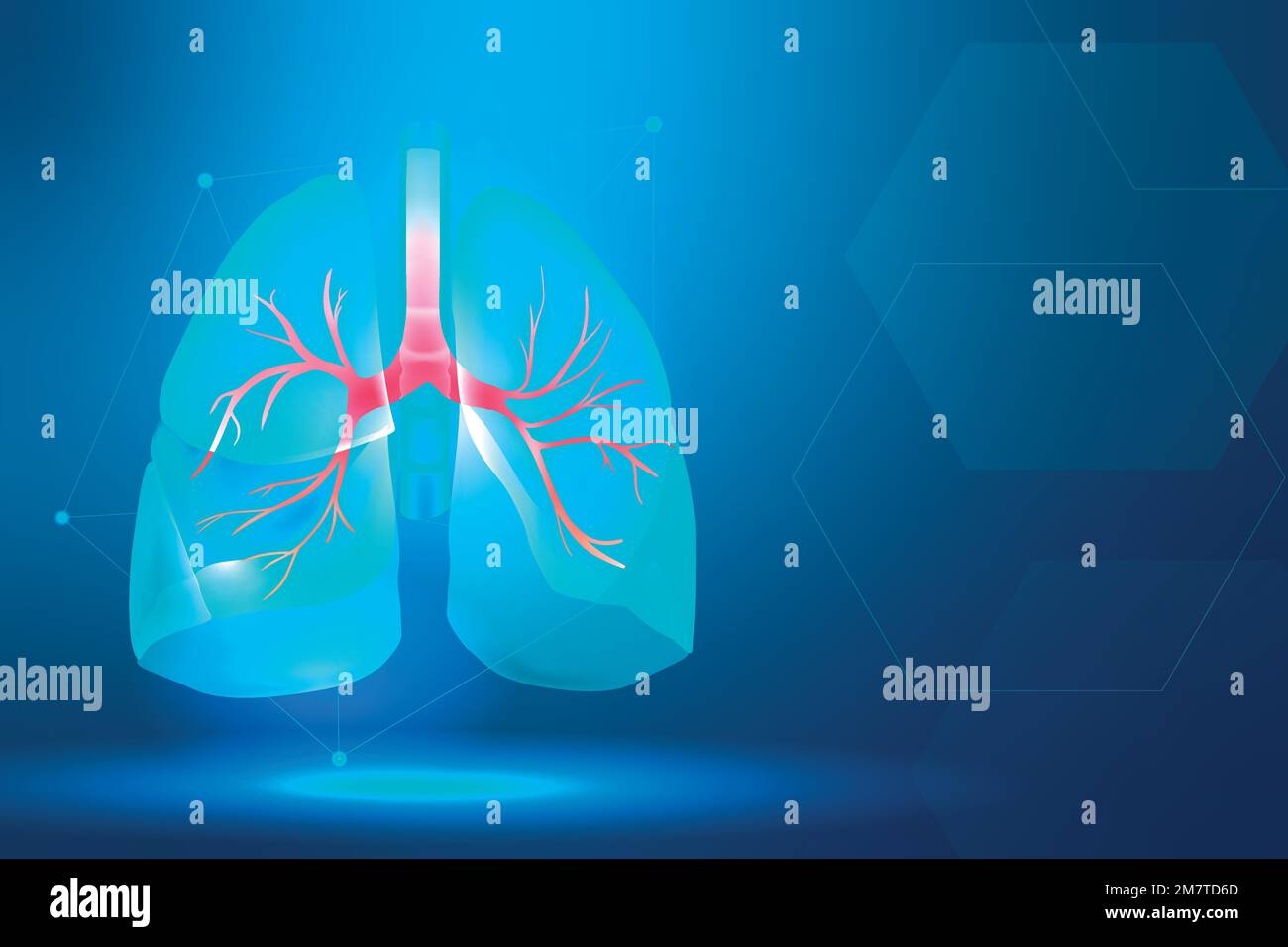 Lung banner vector for respiratory system smart healthcare Stock Vector ...