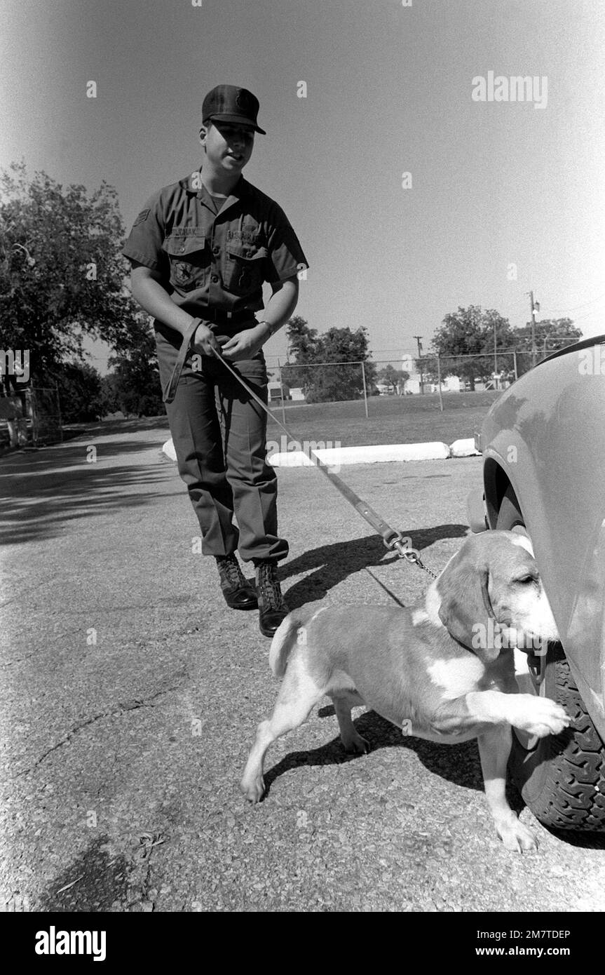 U.S. Air Force SGT David J. Filchak is the handler for Turbo, a beagle ...