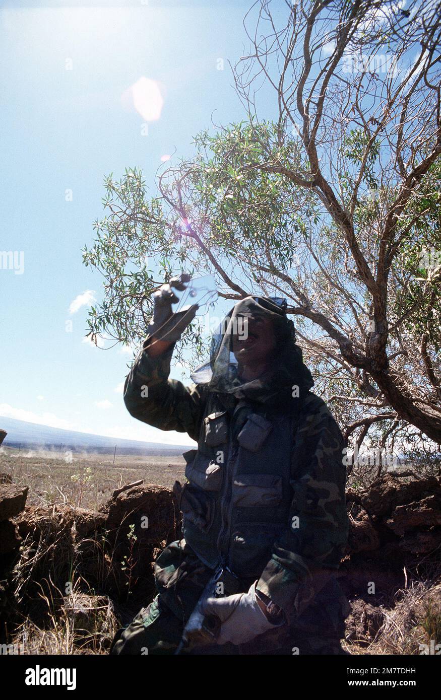 Forward air control team member 1ST LT. Doug Bennett uses a signal ...