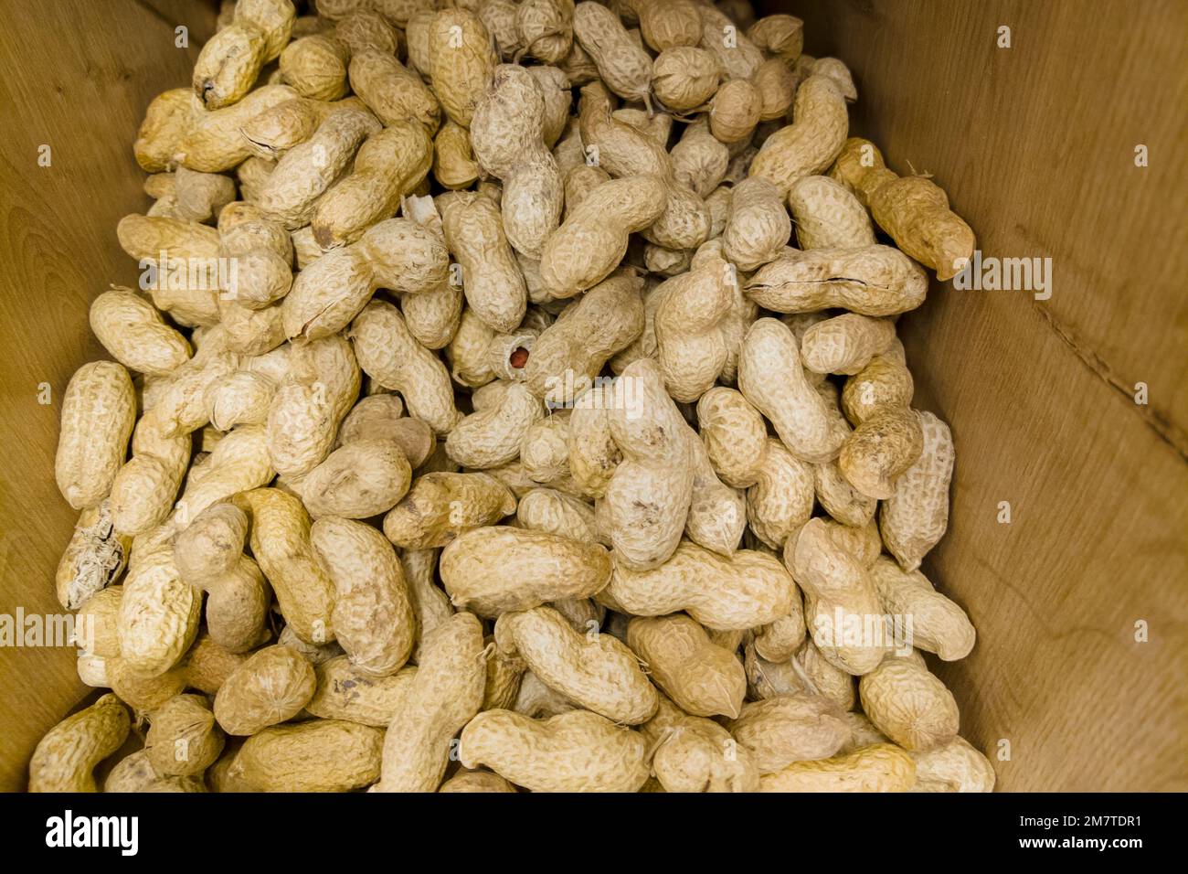 peanuts in shell close-up in a box in a supermarket Stock Photo - Alamy