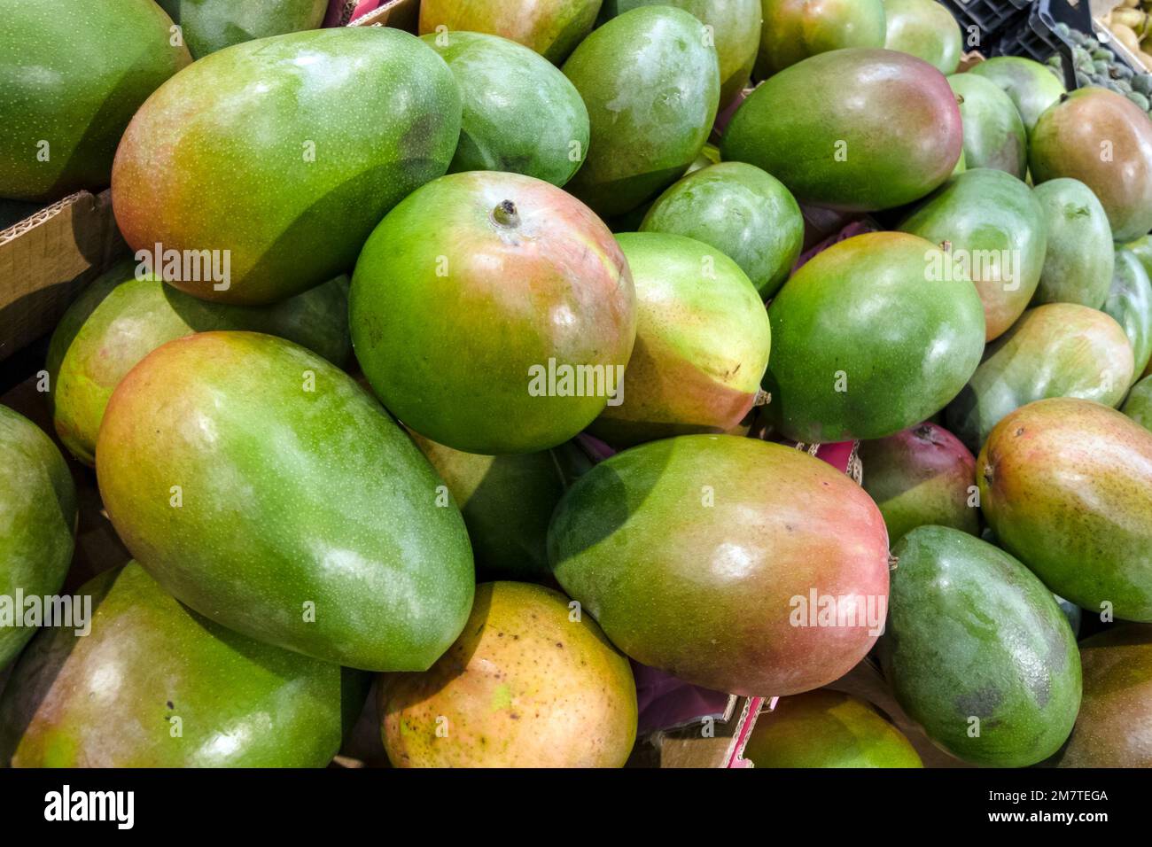 green mango on the store shelf close-up Stock Photo - Alamy