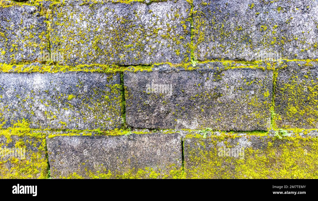 mossy brick wall as a backdrop Stock Photo - Alamy