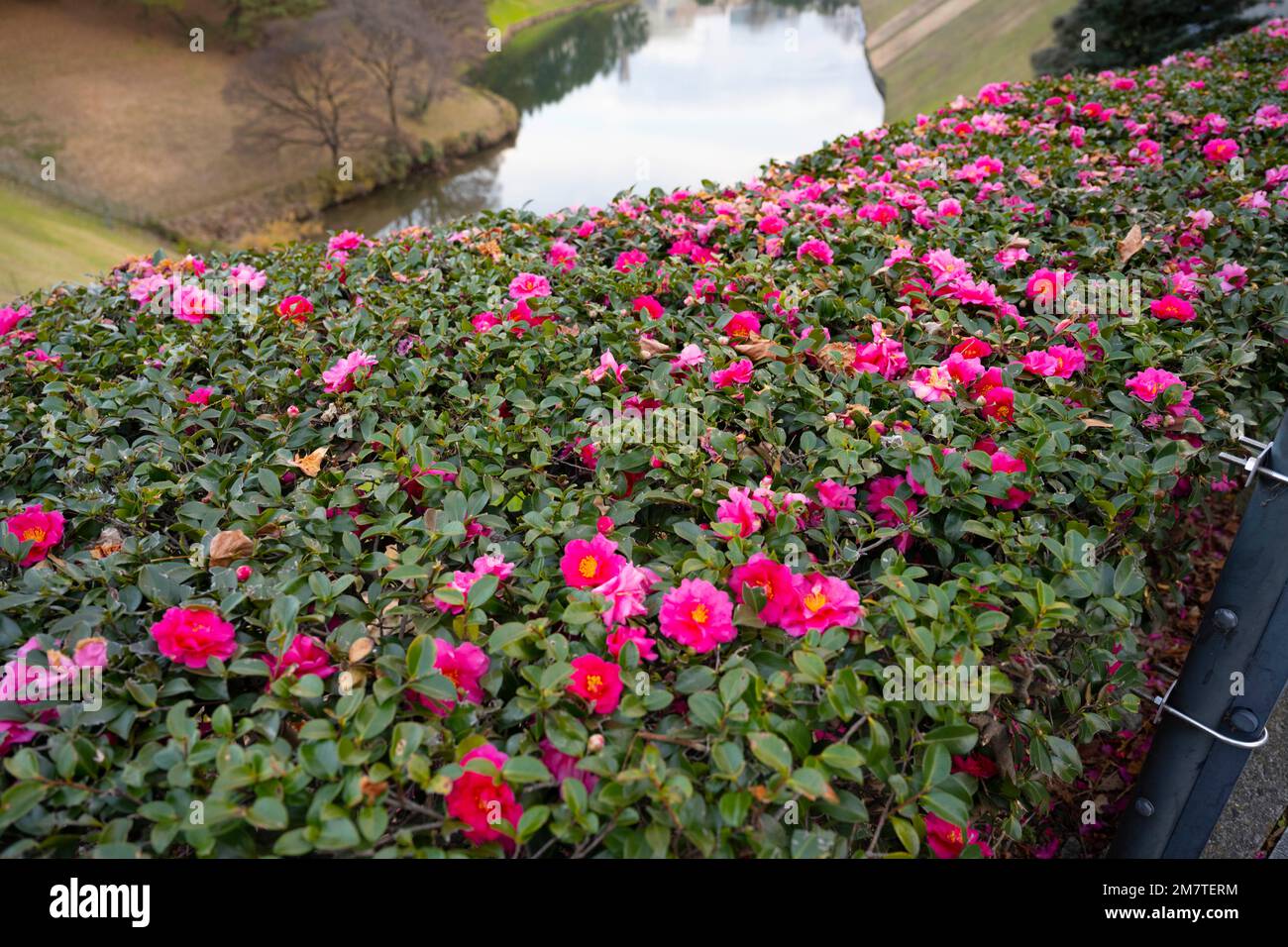 Kyo symbol hi-res stock photography and images - Alamy