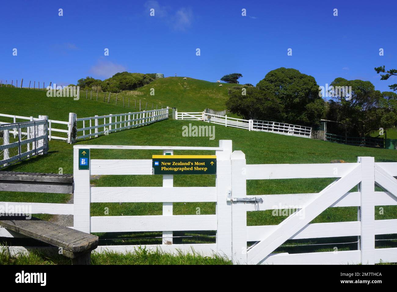 Matiu island new zealand hi-res stock photography and images - Alamy
