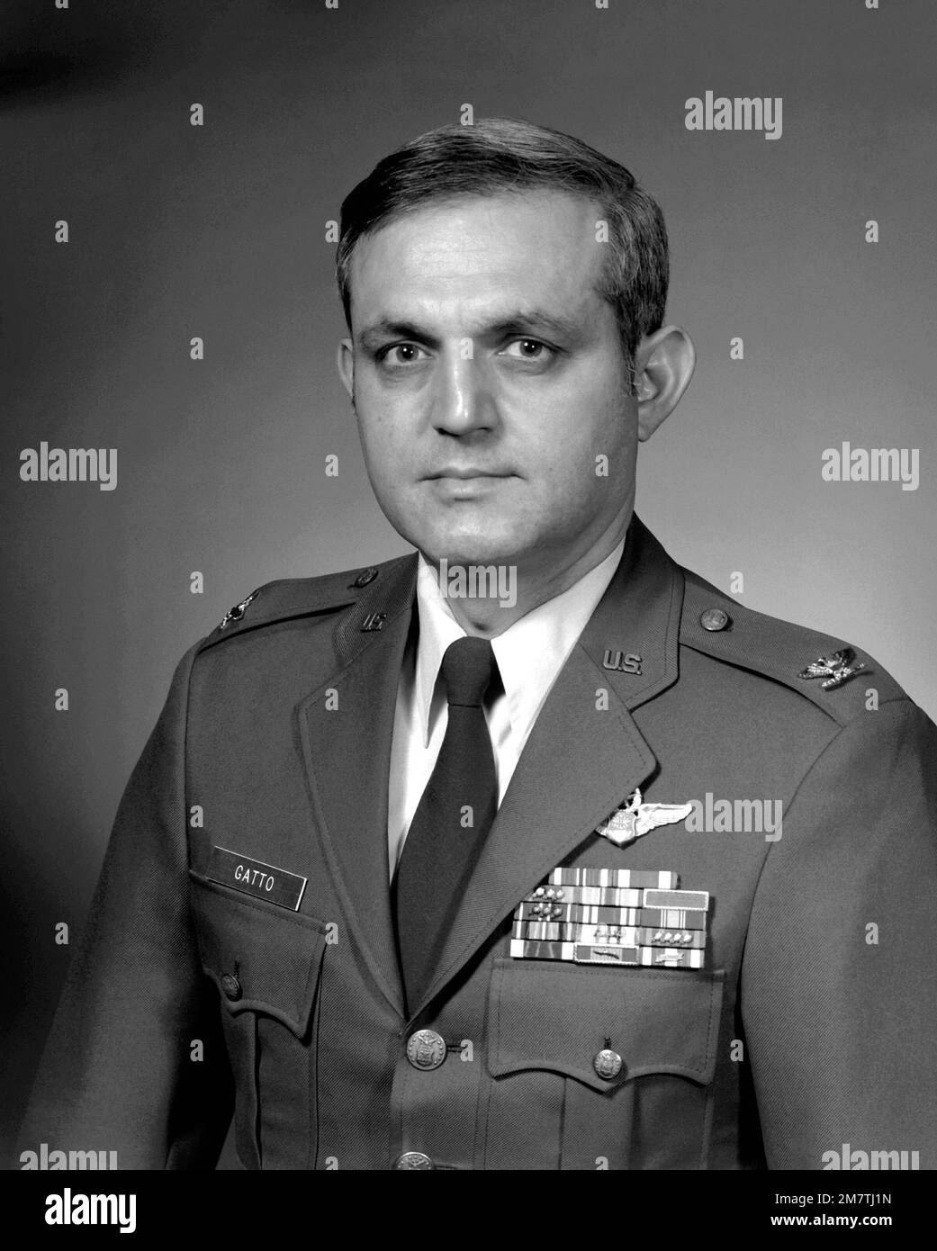 Gatto r hi-res stock photography and images - Alamy