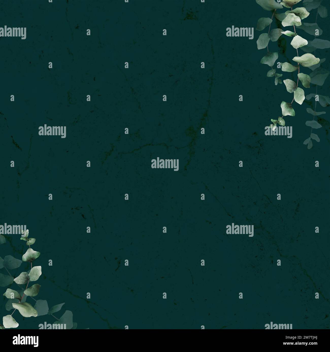 Hand drawn eucalyptus leaf pattern on dark background vector Stock ...