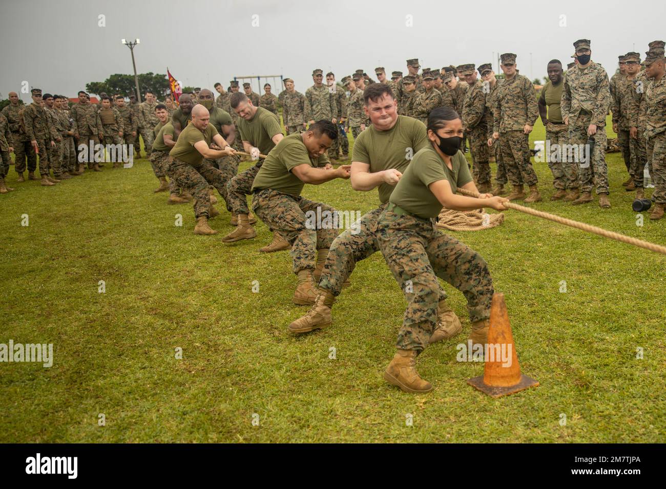 U.S. Marines with Combat Logistics Regiment 37, 3rd Marine Logistics ...