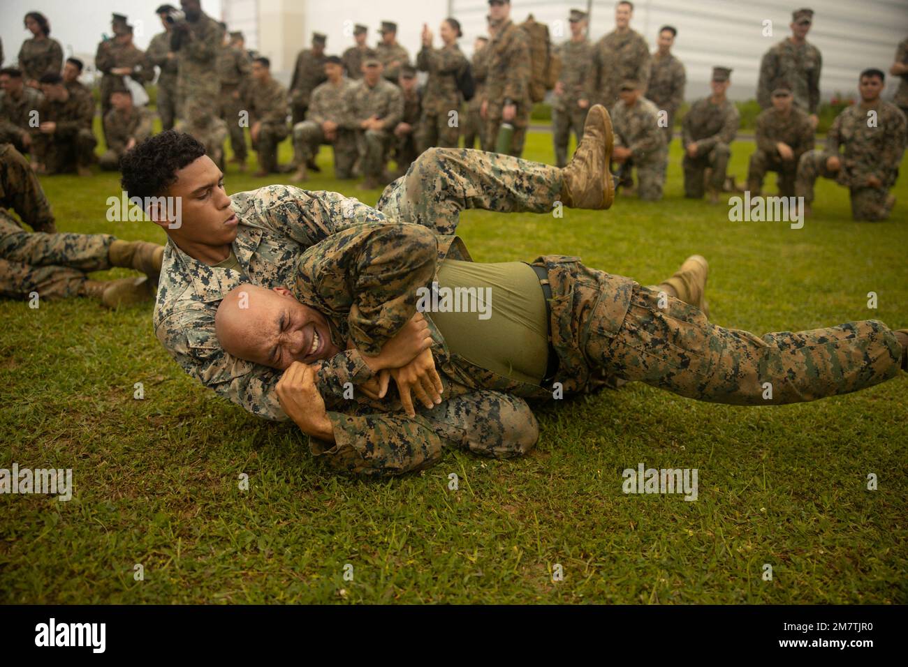 U.S. Marines with Combat Logistics Regiment 37, 3rd Marine Logistics ...