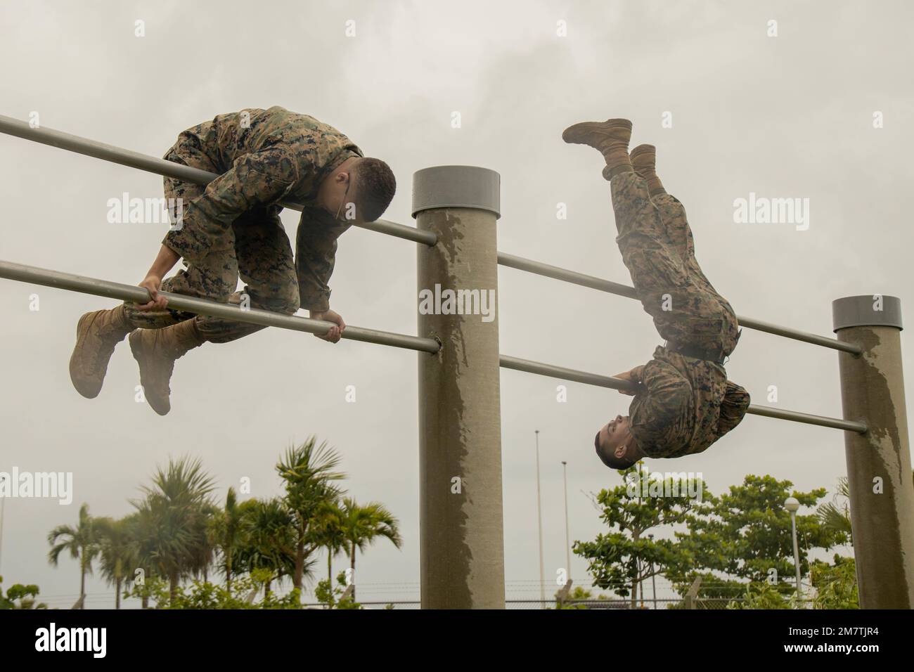 U.S. Marines from Combat Logistics Regiment 37, 3rd Marine Logistics ...