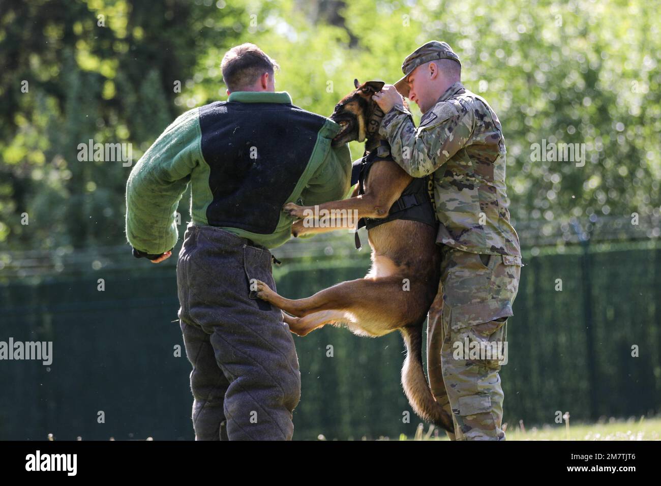 U.S. Army Spc. Seth Dotson, in bite suit, with 100th Military Police ...