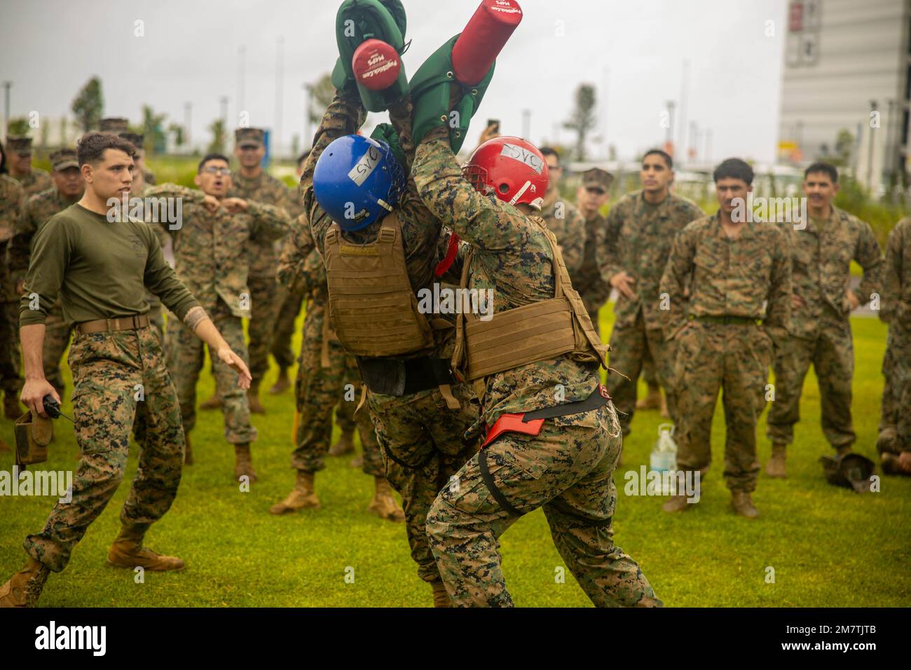 U.S. Marines with Combat Logistics Regiment 37, 3rd Marine Logistics Group, compete in a pugil ...