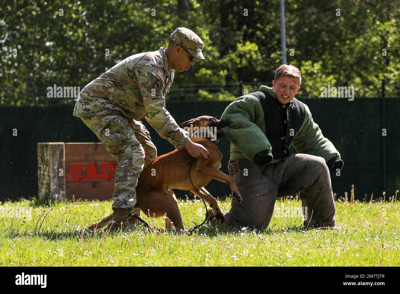U.S. Army Sgt. Warren Bolden with the 131st Military Working Dog ...