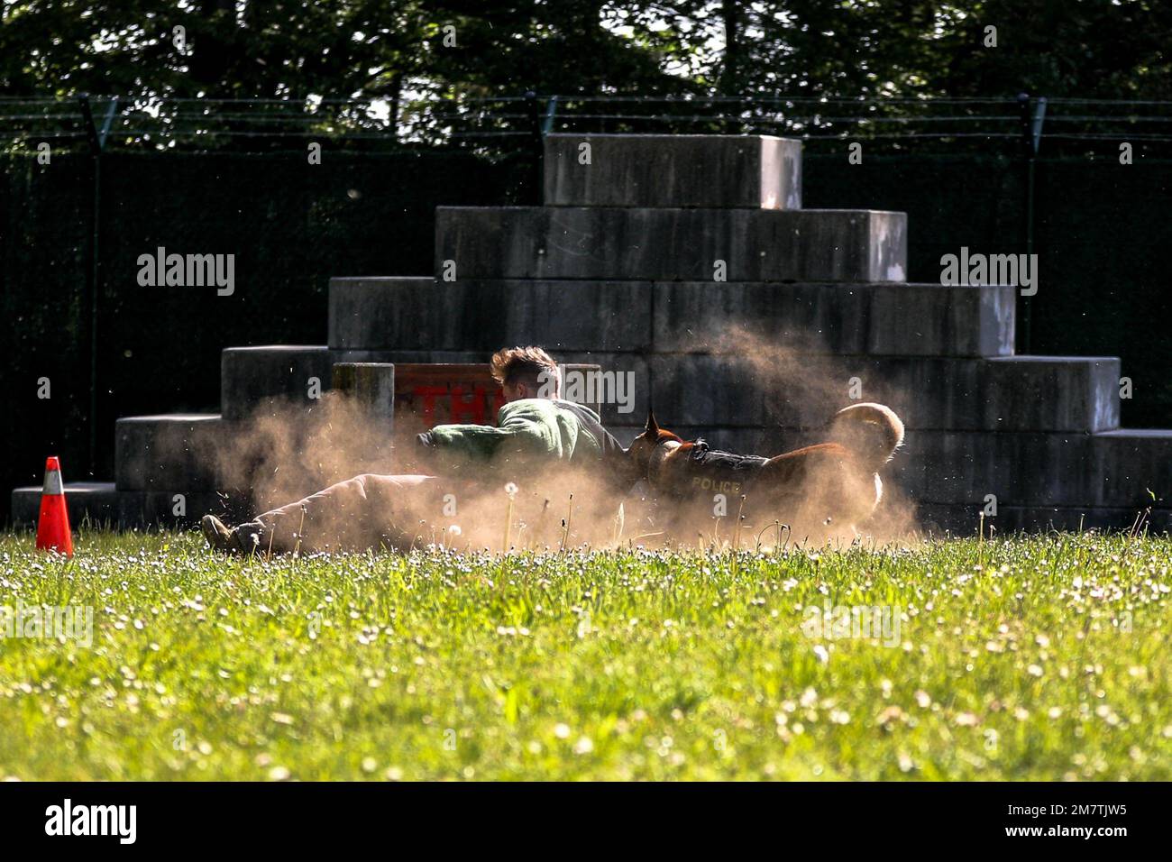 U.S. Army Spc. Seth Dotson with 100th Military Police Detachment ...