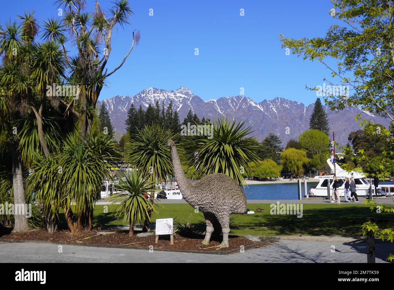 Moa bird hi-res stock photography and images - Alamy