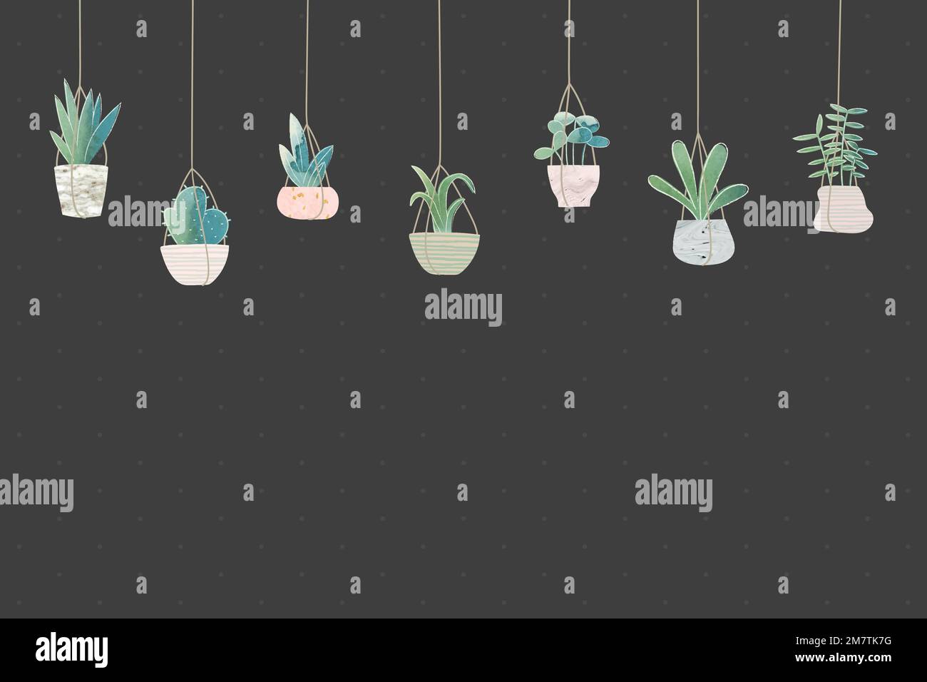 Blank cactus frame design vector Stock Vector Image & Art - Alamy