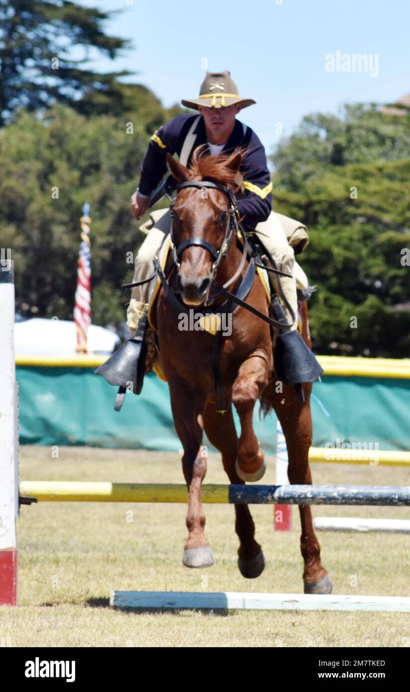 A Soldier assigned to the 11th Armored Cavalry Regiment Horse ...