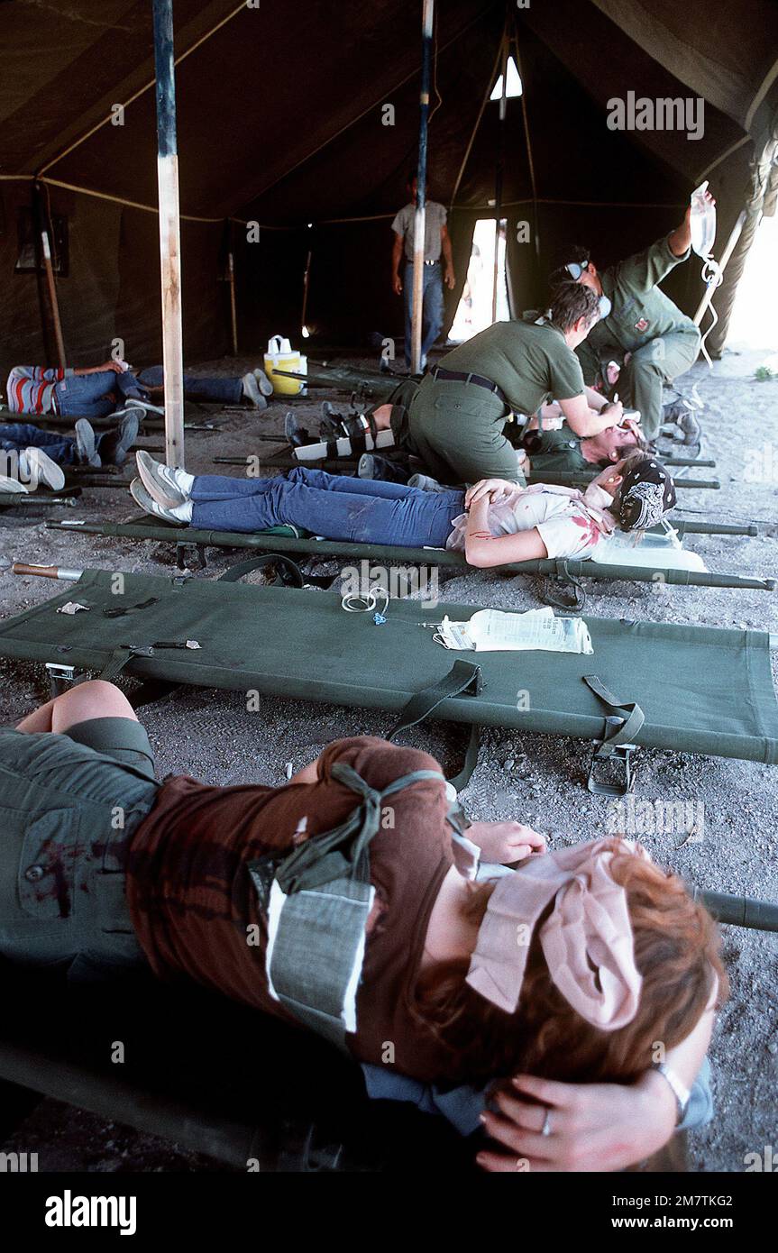 Crew members care for "casualties" in an air transportable hospital ...
