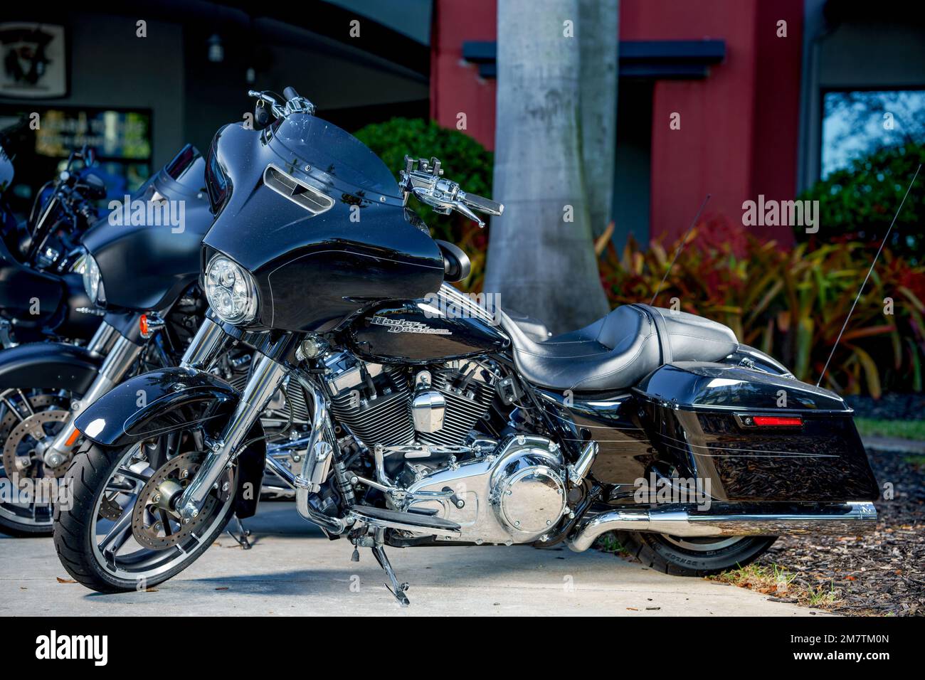 Harley Davidson Florida Sunrise