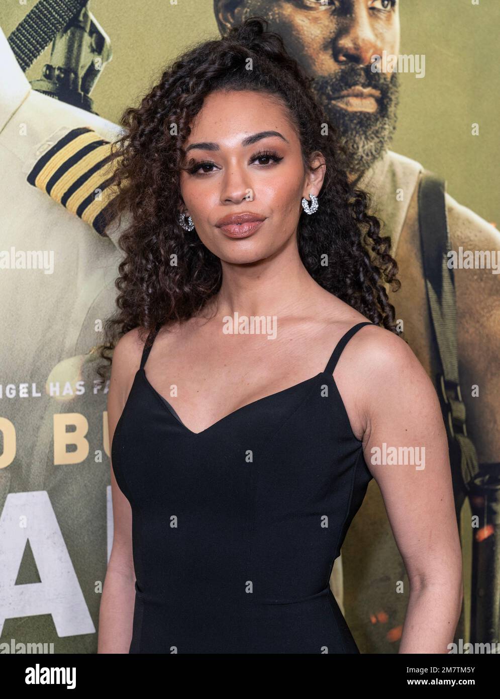 Taryn Delanie Smith attends the "Plane" New York premiere at AMC ...