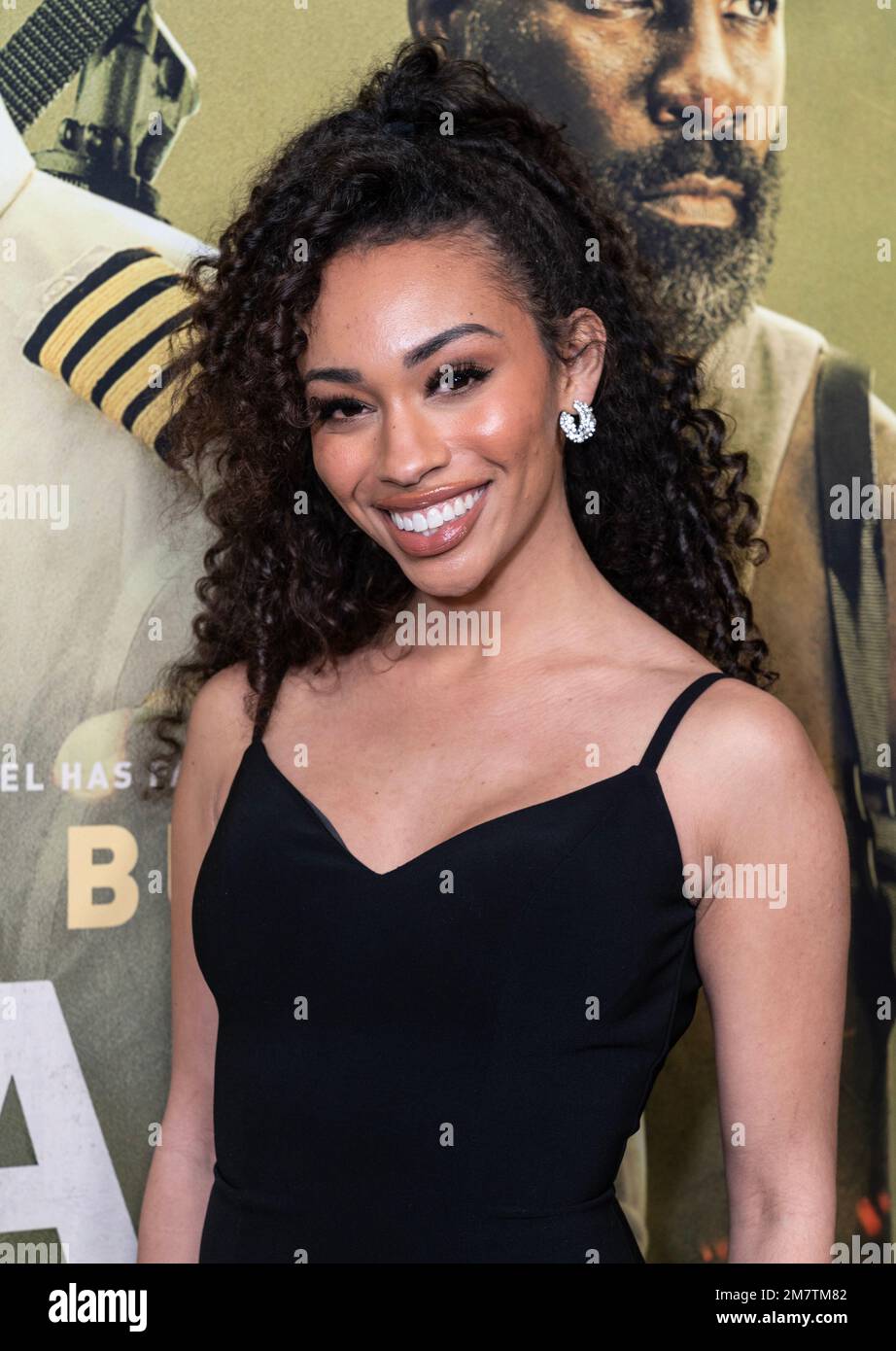 Taryn Delanie Smith attends the "Plane" New York premiere at AMC ...