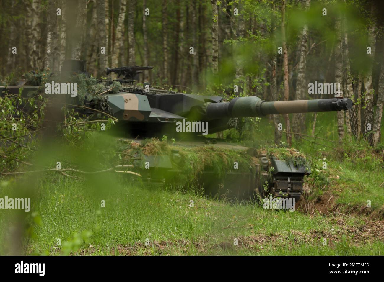A Polish army Leopard 2A tank pulls security at a tactical assembly ...