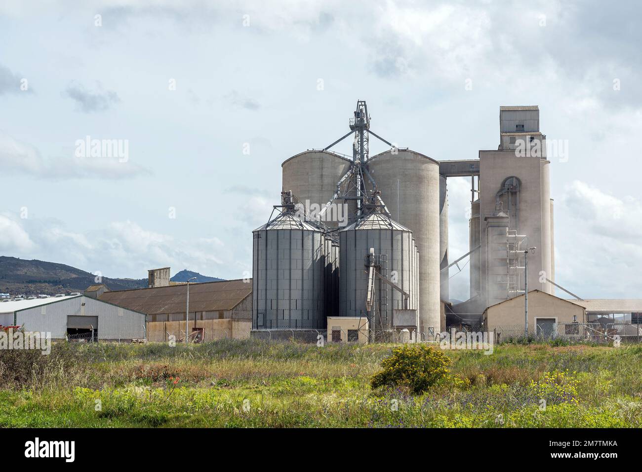 Bredasdorp, South Africa - Sep 23, 2022: A street scene, with grain ...