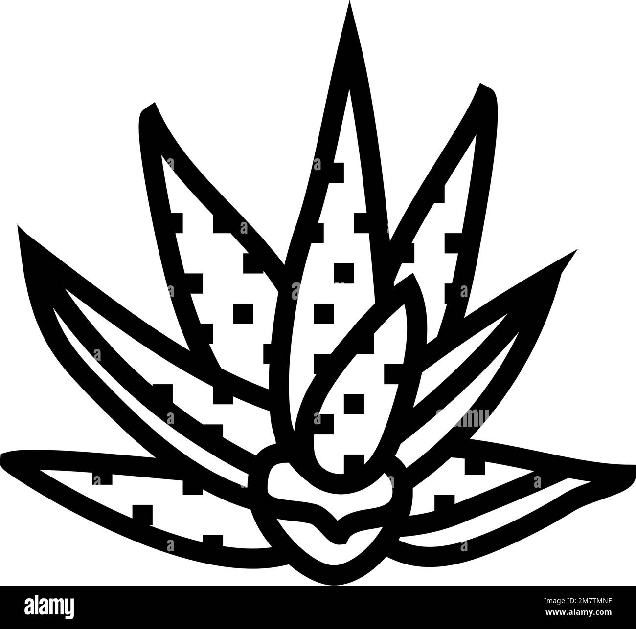 natural aloe vera line icon vector illustration Stock Vector Image ...