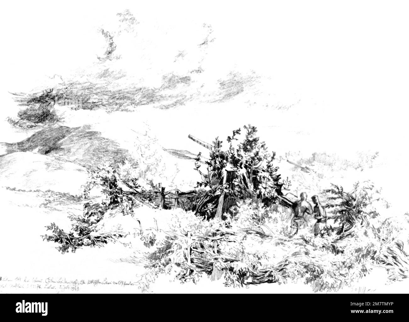 Artwork: "Flak Gun - Cacuasus" Artist: Karl Sommer. Country: Unknown ...