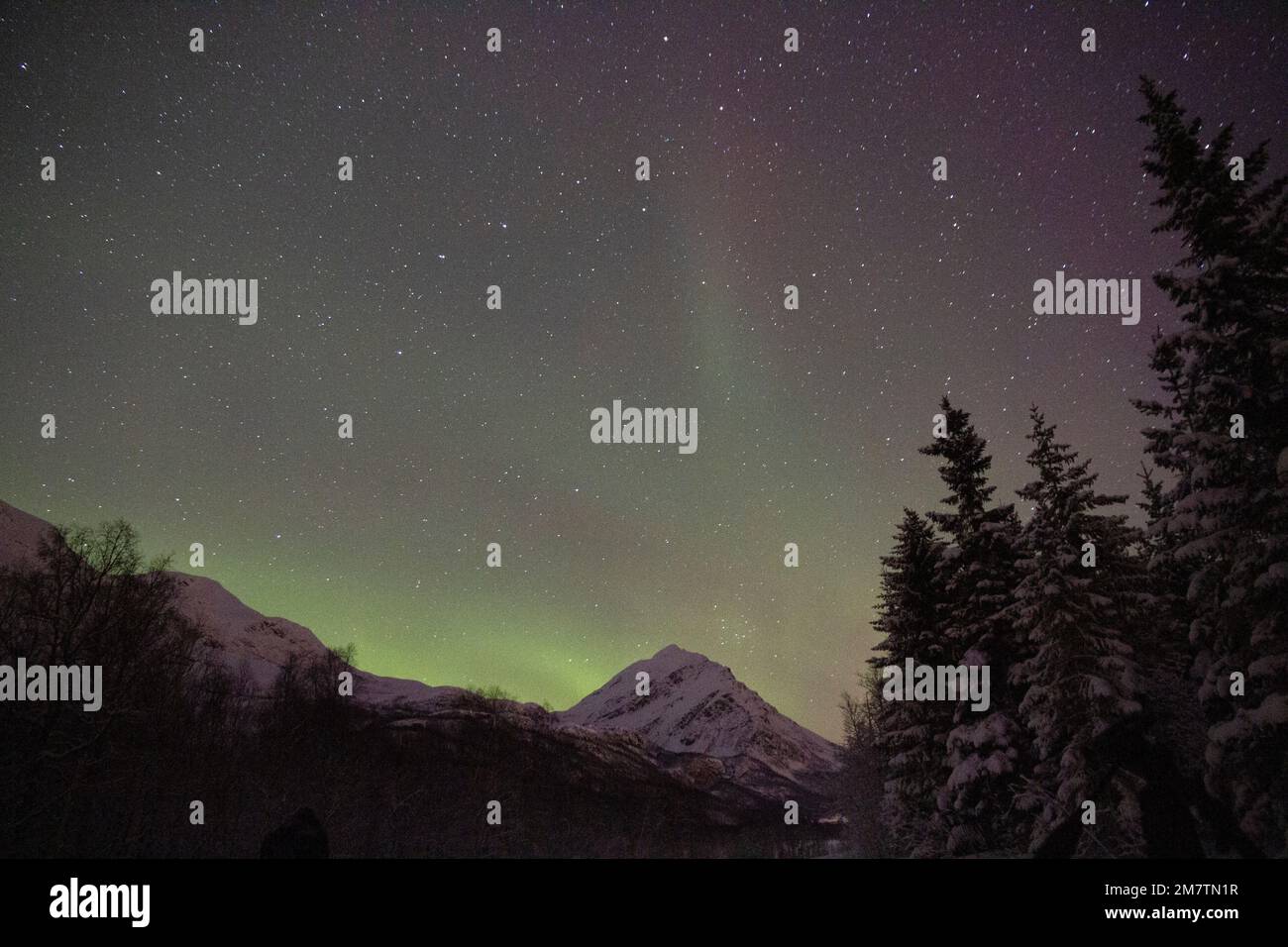 A beautiful starry night sky with a glimpse of the northern lights ...