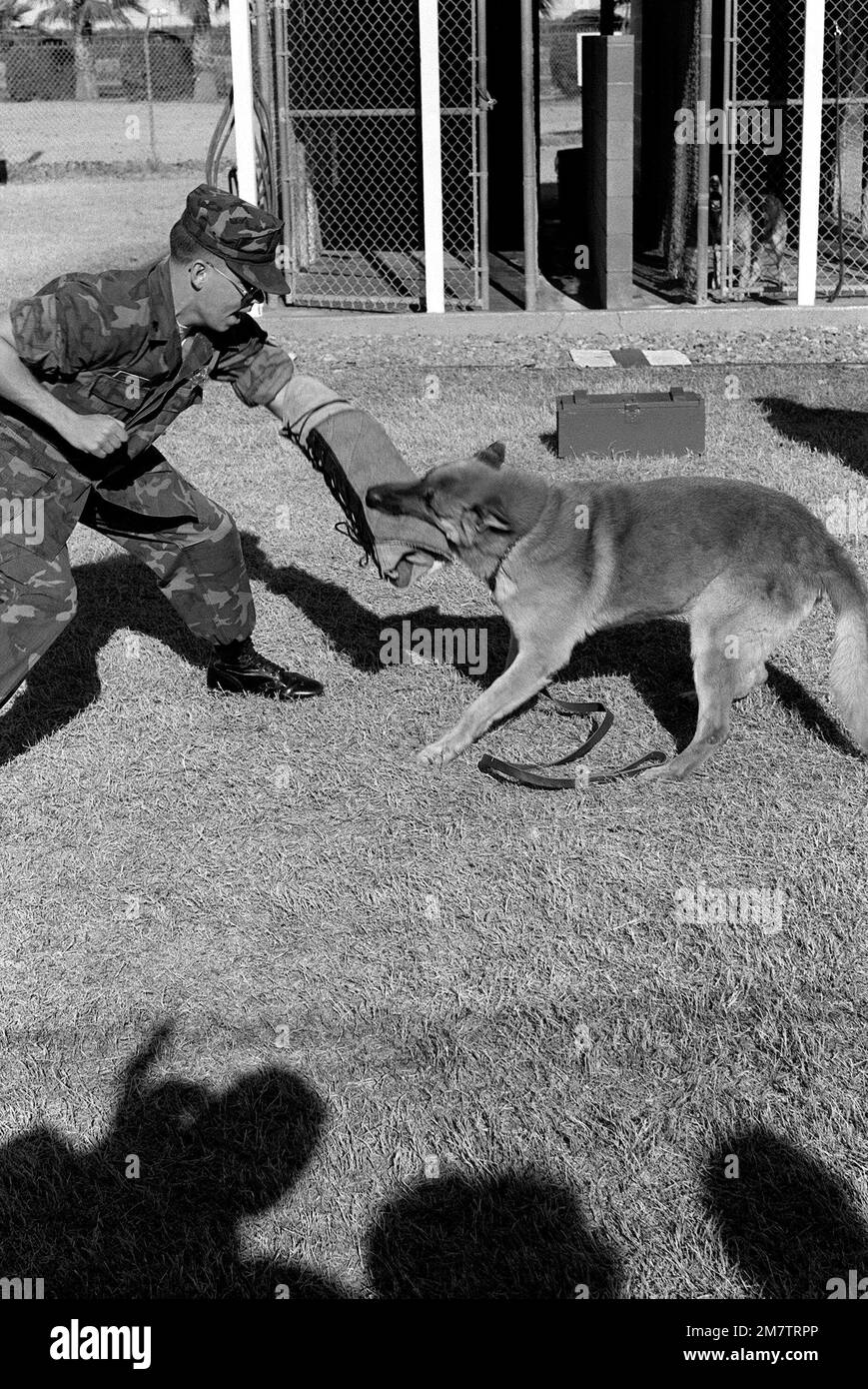 SGT Rick Luginbill is a dog handler and is taking the part of an ...