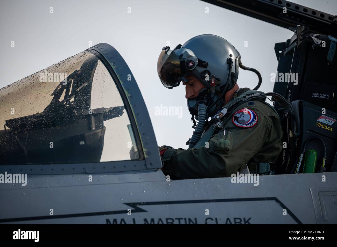 A U.S. Air Force F-15C Eagle pilot with the 131st Fighter Squadron ...