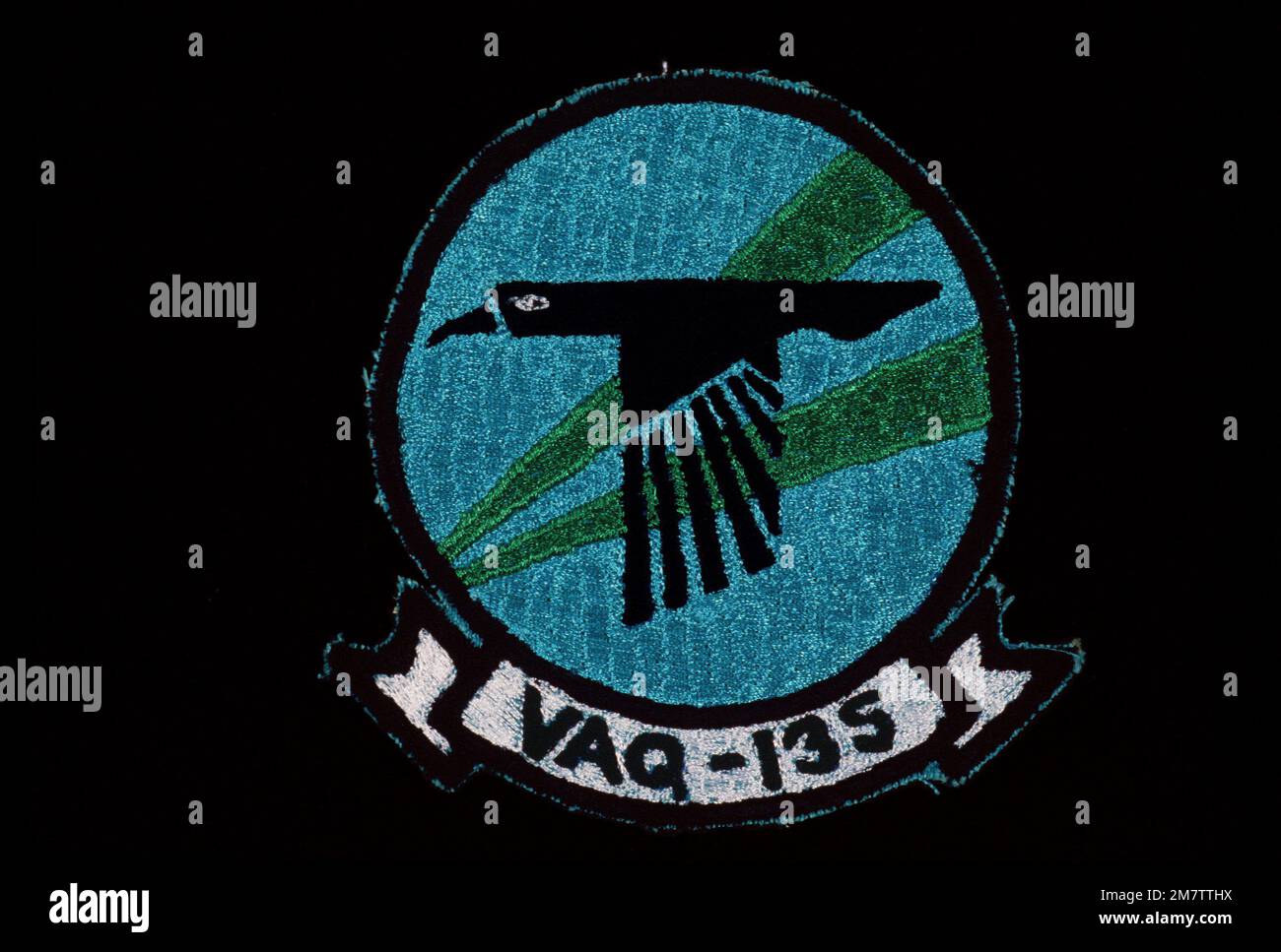 The official insignia for Tactical Electronic Warfare Squadron 135 (VAQ ...