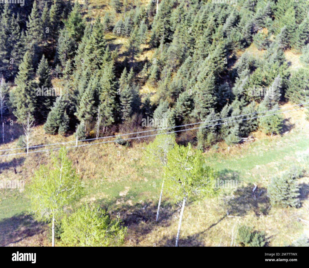 An aerial view of a section of above-ground antennas that is a portion ...