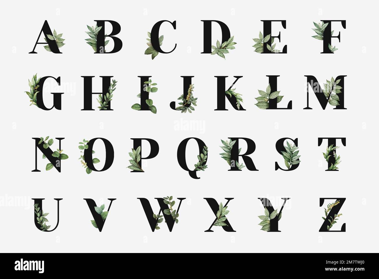Botanical capital alphabet collection vector Stock Vector Image & Art ...