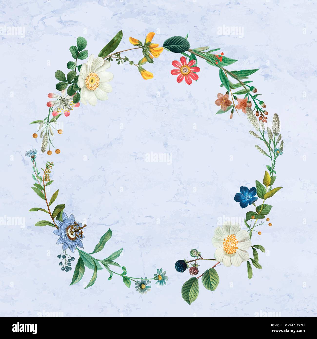 Botanical design frames Stock Vector Images - Alamy