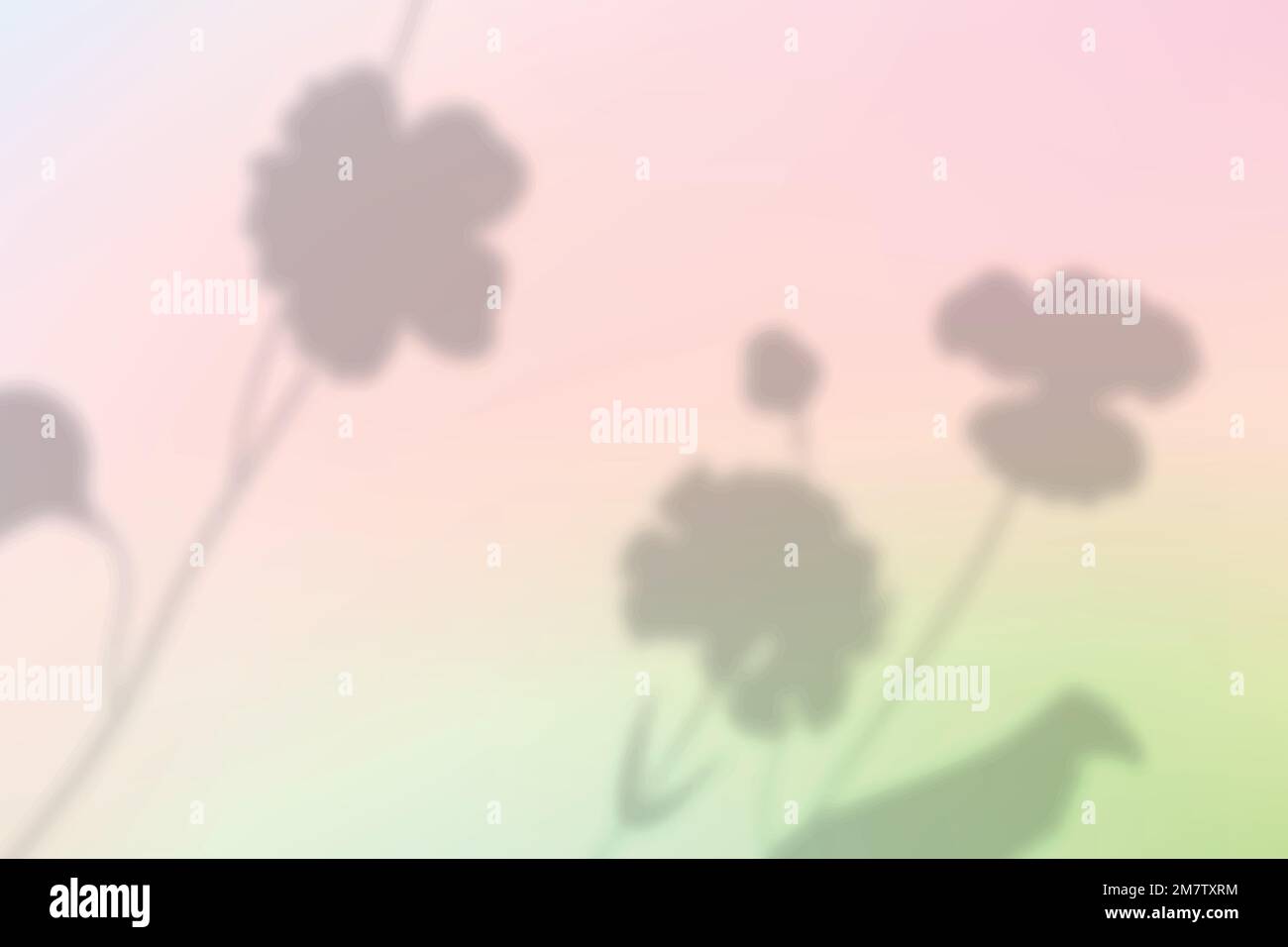 Aesthetic flower shadow background vector in two color gradient Stock ...