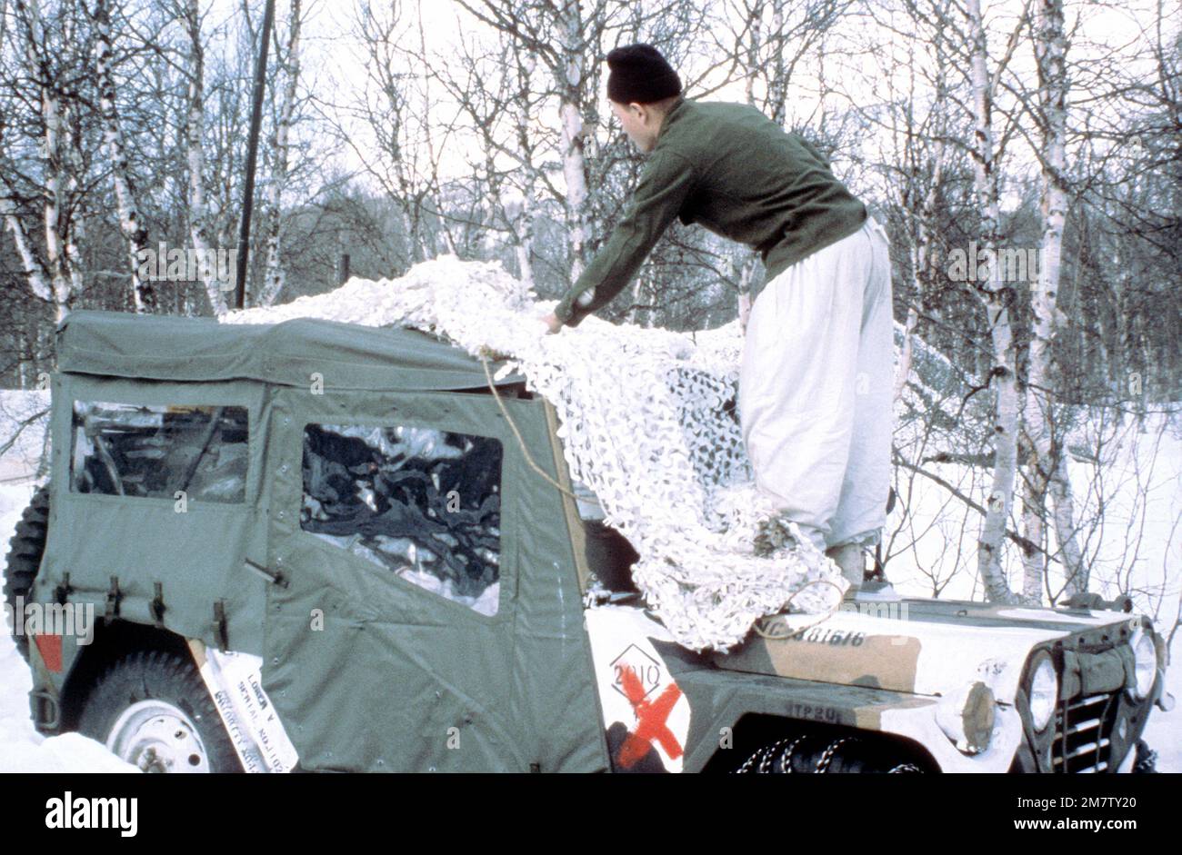 A member of the 36th Marine Amphibious Unit camouflages his vehicle ...