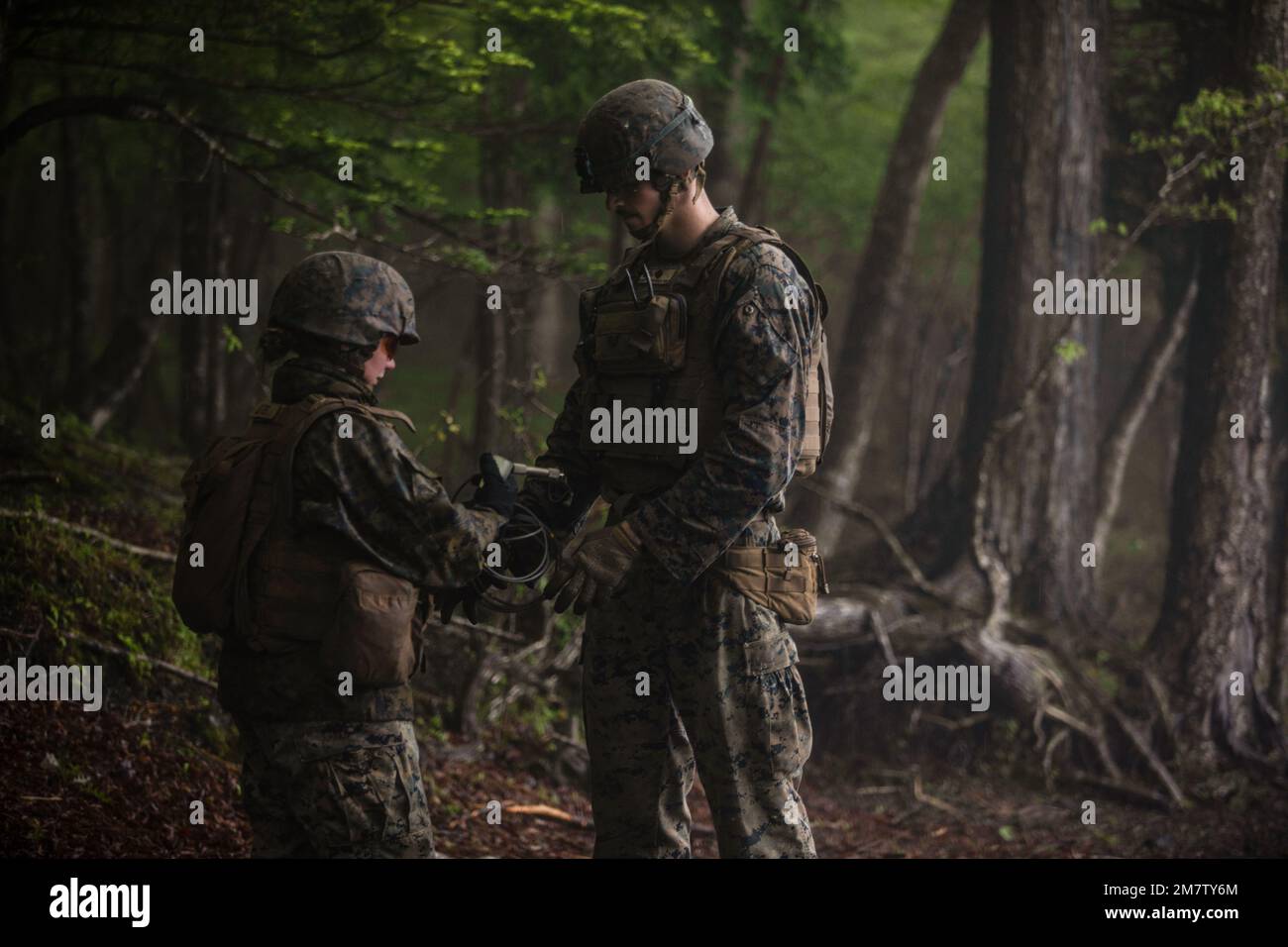 Blasting cap hi-res stock photography and images - Alamy