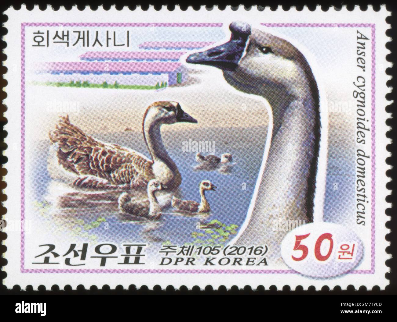 2016 North Korea stamp set. Domesticated Birds. Common domestic Goose ...