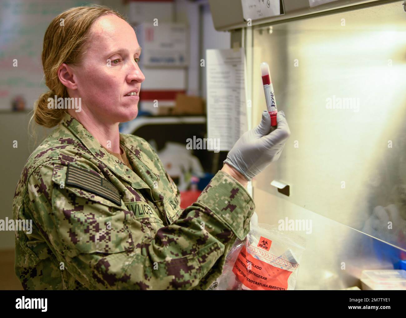 Identify pathogens hi-res stock photography and images - Alamy