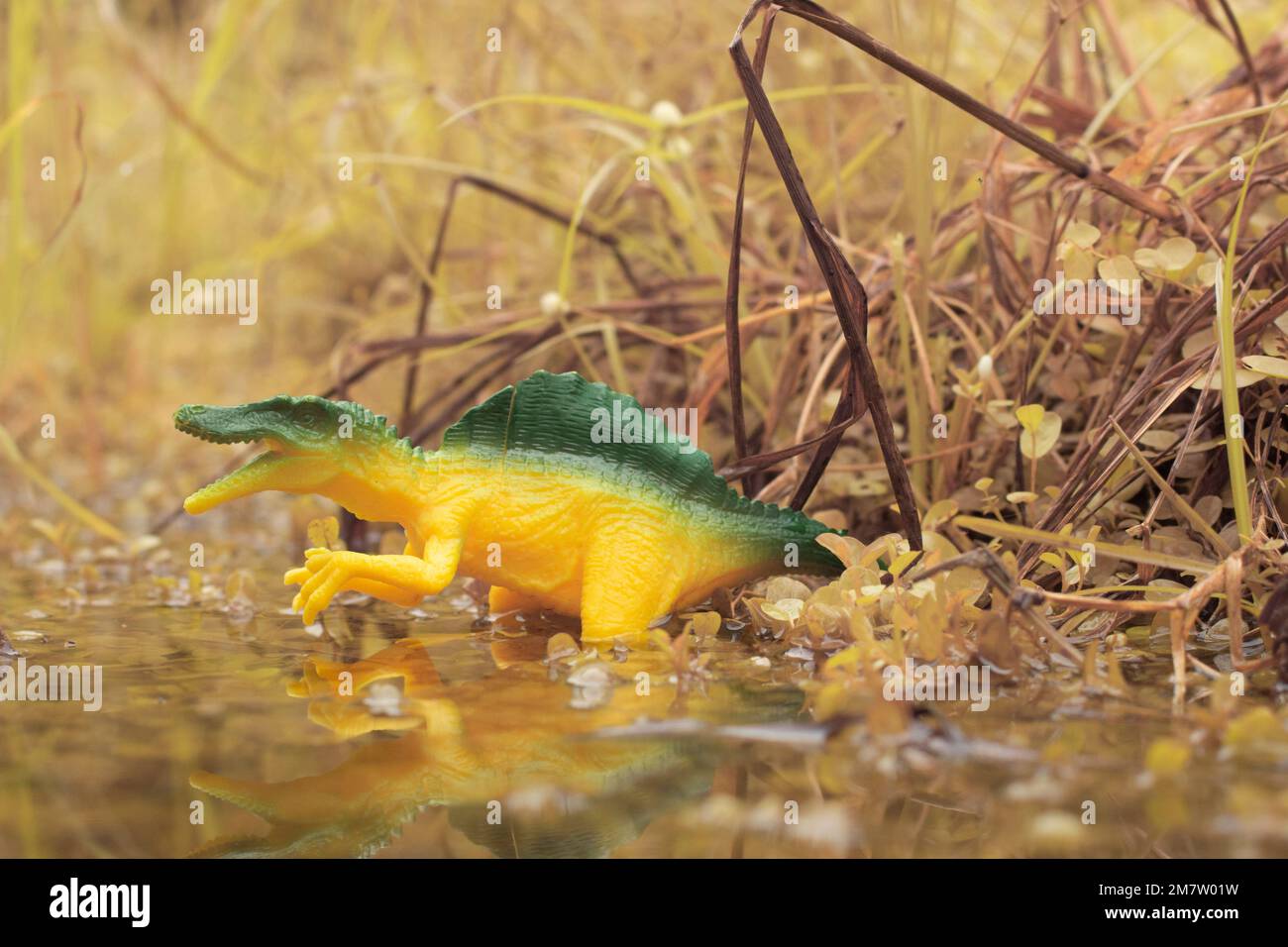 dinosaur toys illustrating loitering around the lake Stock Photo - Alamy