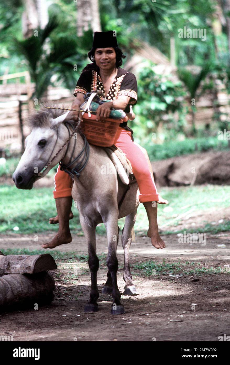 Natives ride a horse. State: Borneo Country: Indonesia (IDN Stock Photo ...