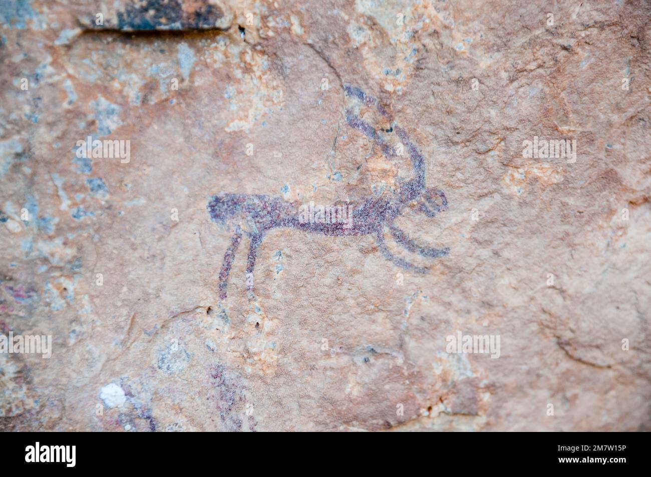 cave paintings of Abrics de l'Ermita, the most important Spanish ...