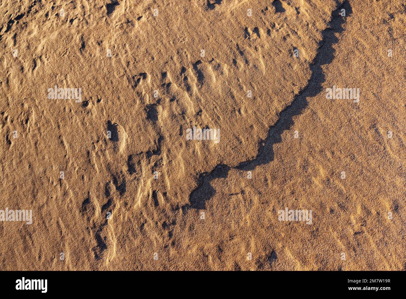 Frozen soil hi-res stock photography and images - Alamy