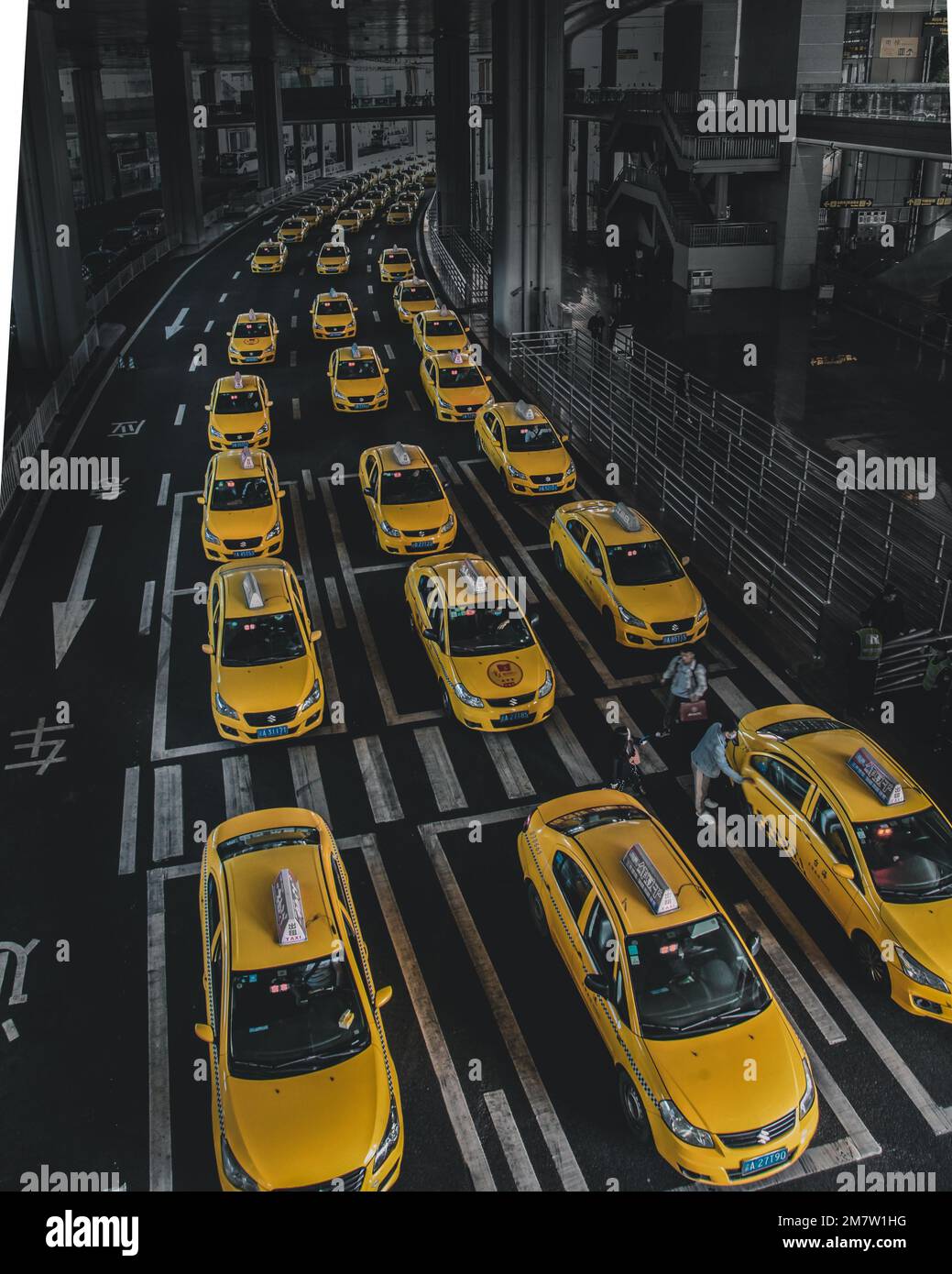 Three rows of yellow taxis at Chongqing Airport Stock Photo - Alamy