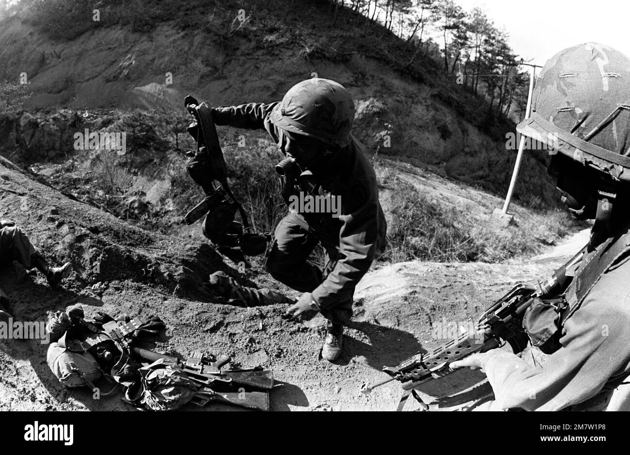 Members of Company C, 1ST Battalion, 35th Infantry, 25th Infantry ...