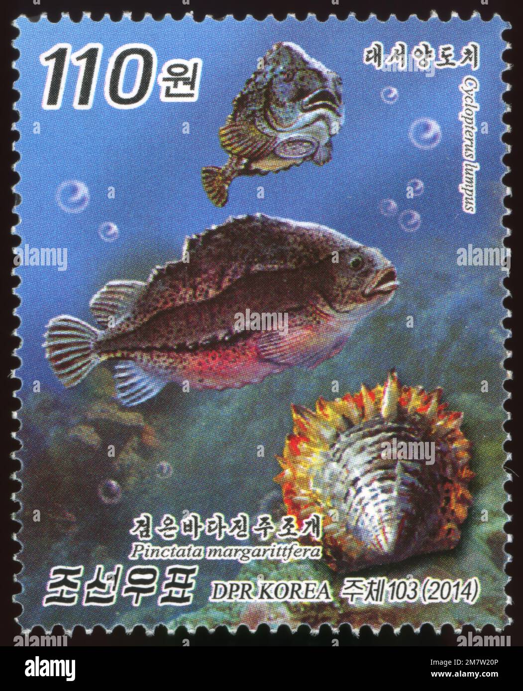2014 North Korea stamp set Marine Life - Fish & Shellfish. Cyclopterus ...