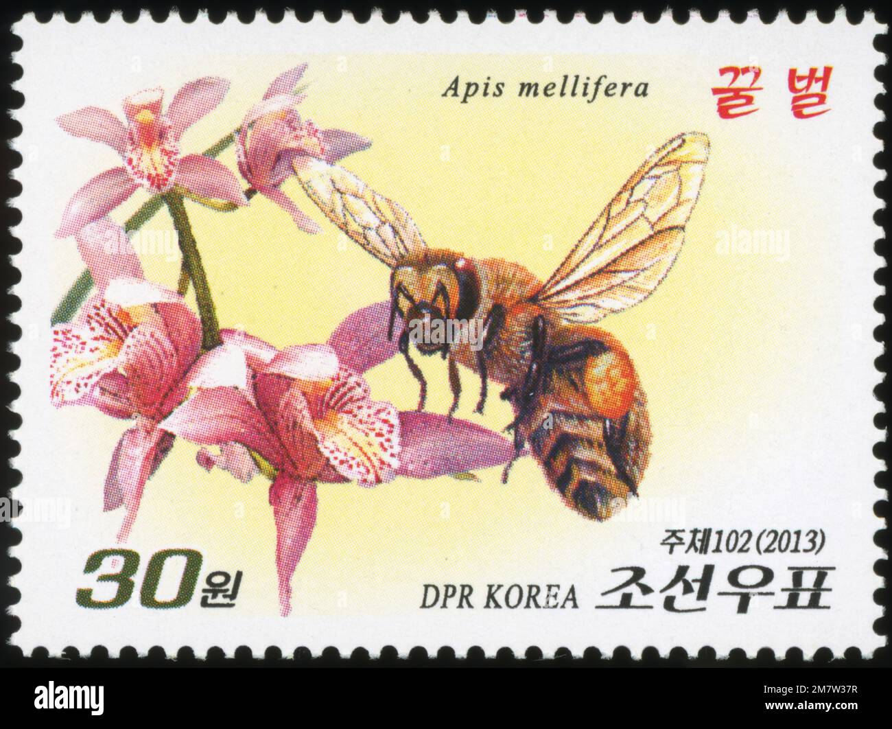 2013 North Korea stamp set. Bees & Orchids. Apis mellifera Stock Photo ...